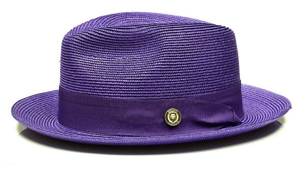 Bruno Capelo Francisco Men's Straw Summer Hat Purple FN-832 - Alligator ...