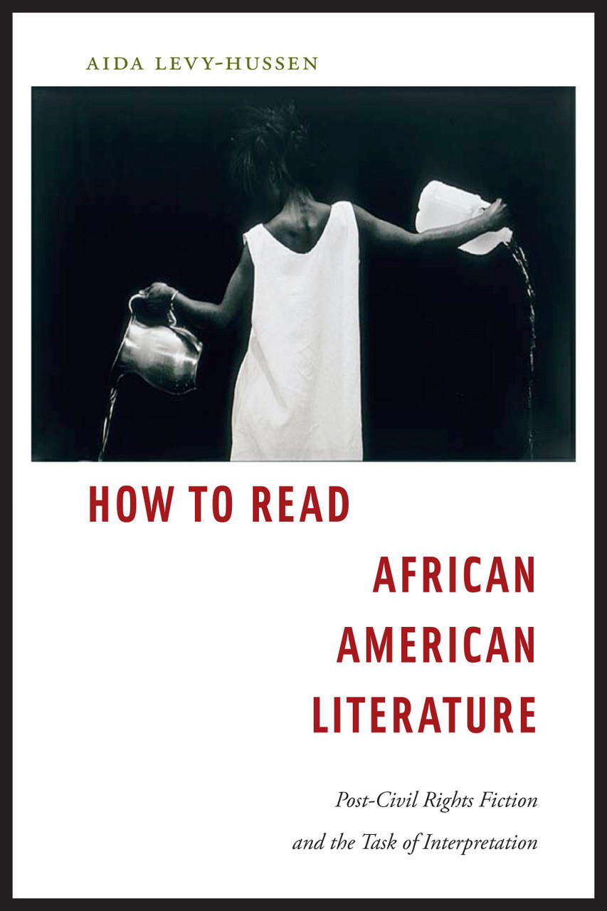 How to Read African American Literature - Labyrinth Books