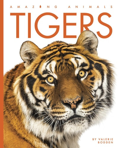 Tigers - Labyrinth Books