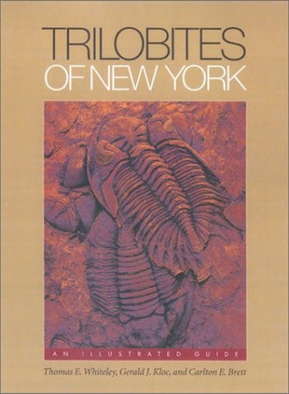 Trilobites of New York - Labyrinth Books