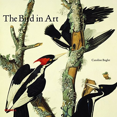 The Bird in Art - Labyrinth Books