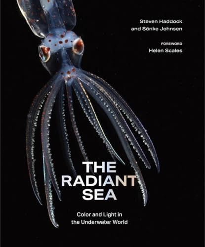 Radiant Sea: Color and Light in the Underwater World - Labyrinth Books