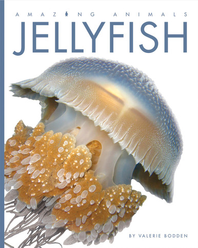Amazing Animals: Jellyfish - Labyrinth Books