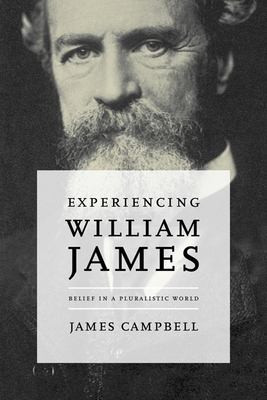 Experiencing William James - Labyrinth Books