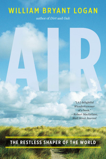 Air the Restless Shaper of the World - Labyrinth Books