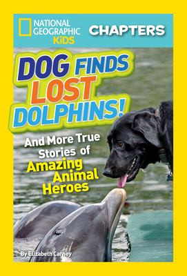 Dog Finds Lost Dolphins! - Labyrinth Books
