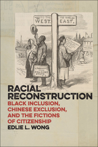 Racial Reconstruction - Labyrinth Books