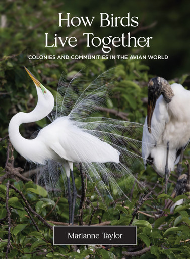 How Birds Live Together - Labyrinth Books