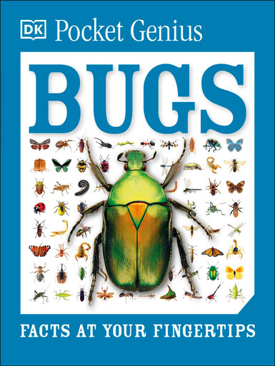 Pocket Genius: Bugs - Labyrinth Books