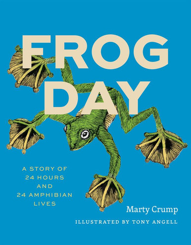 Frog Day - Labyrinth Books