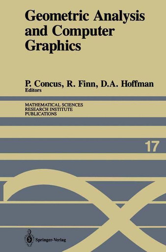 Geometric Analysis and Computer Graphics - Labyrinth Books