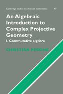 An Algebraic Introduction to Complex Projective Geometry - Labyrinth Books
