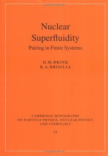 Nuclear Superfluidity - Labyrinth Books