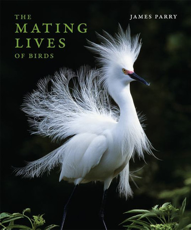The Mating Lives of Birds - Labyrinth Books