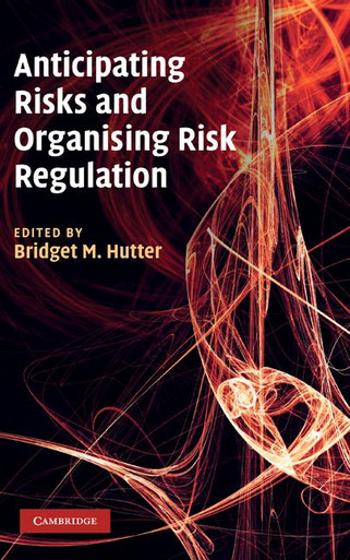 Anticipating Risks and Organizing Risk Regulation - Labyrinth Books
