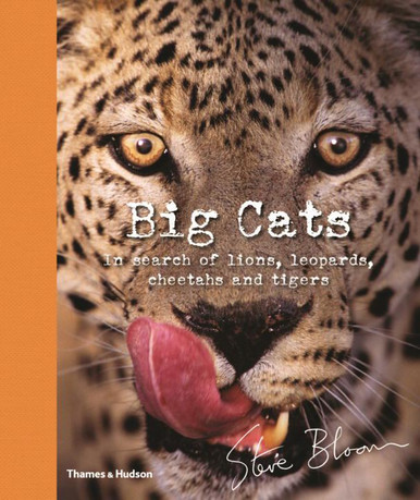Big Cats - Labyrinth Books