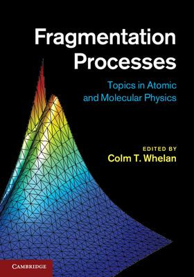 Fragmentation Processes - Labyrinth Books