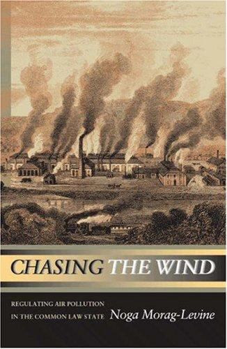 Chasing the Wind - Labyrinth Books