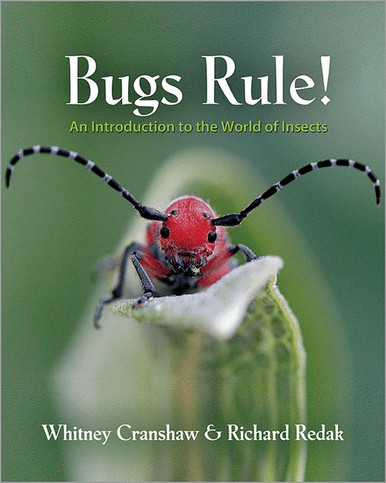 Bugs Rule! - Labyrinth Books