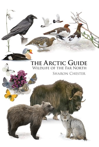 The Arctic Guide - Labyrinth Books
