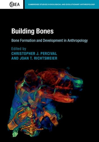 Building Bones - Labyrinth Books