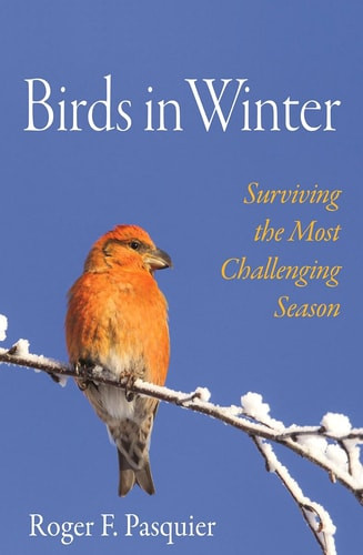 Birds in Winter - Labyrinth Books