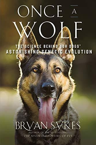 Once a Wolf - Labyrinth Books