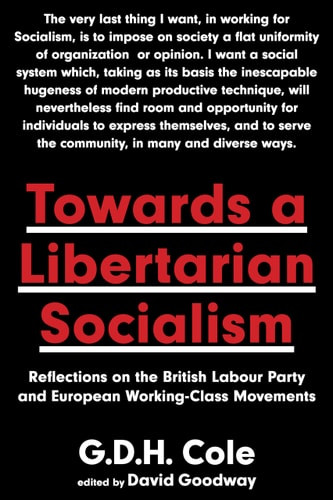 Towards A Libertarian Socialism Labyrinth Books
