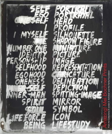 Amazing! Mel Bochner Prints - Labyrinth Books