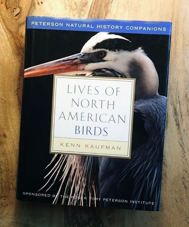 Lives of North American Birds - Labyrinth Books