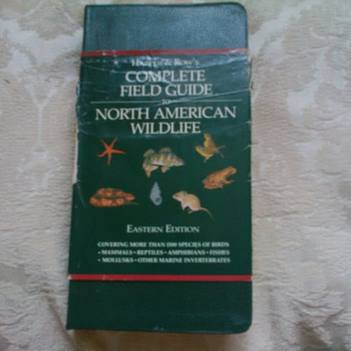 Collins Field Guide - Labyrinth Books