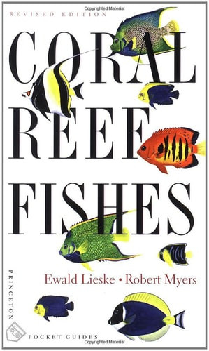 Coral Reef Fishes - Labyrinth Books