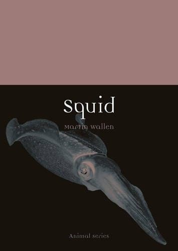 Squid - Labyrinth Books