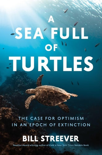 A Sea Full of Turtles - Labyrinth Books