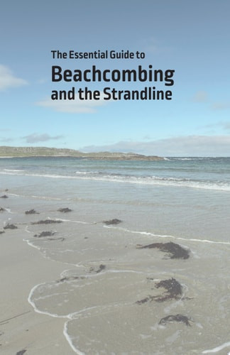 The Essential Guide to Beachcombing and the Strandline - Labyrinth Books