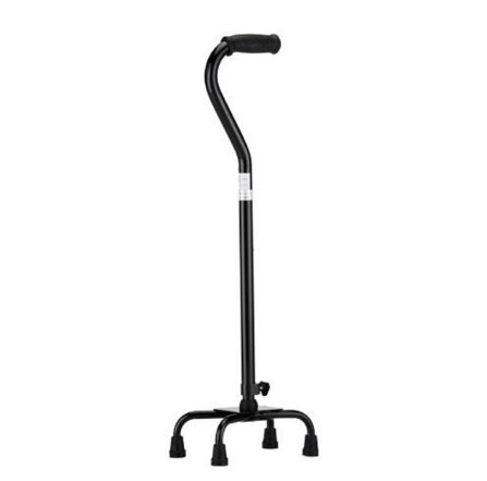 Buy Walking Sticks Online | Alpha Medical Solutions