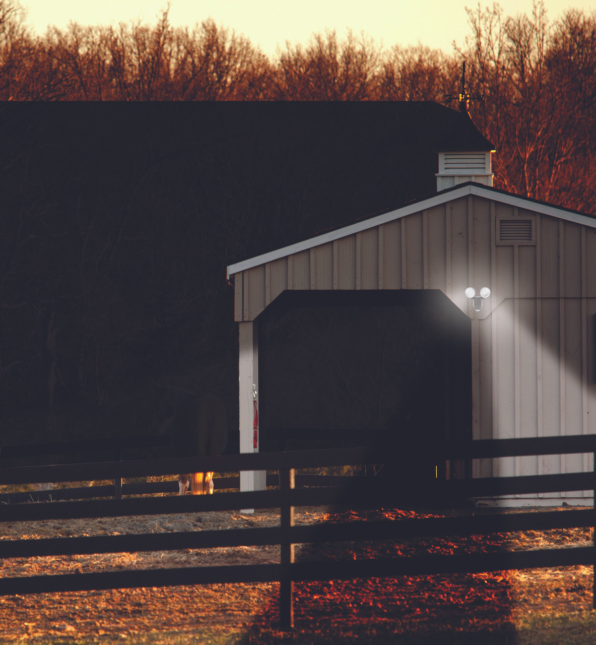 MAXSA Innovations Battery-Powered Motion-Activated Dual Head LED ...