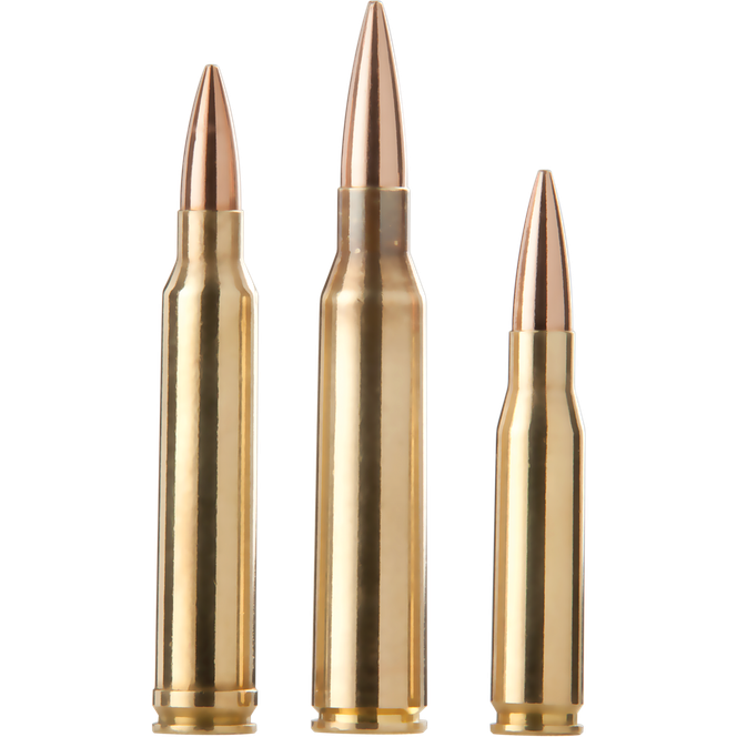 Precision Match OTM 223 Rem 77 GR BT - Barnes Bullets