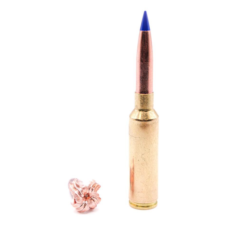 Barnes Reserve Line: 300 "Super" WSM 212gr Bore Rider LRX