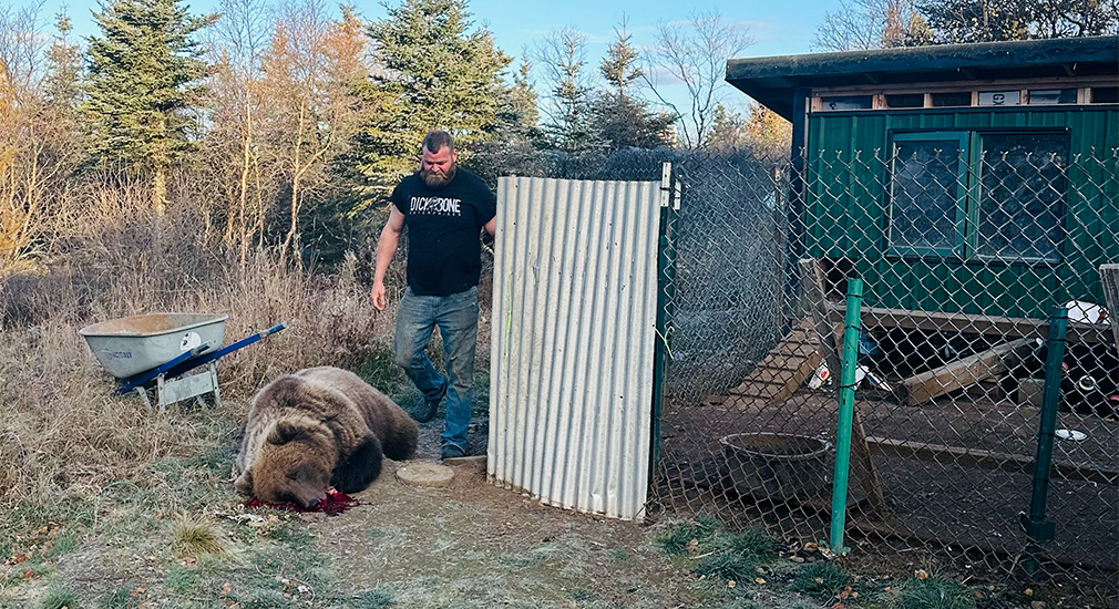 The Best Backyard Bear Defense! - Sierra Bullets