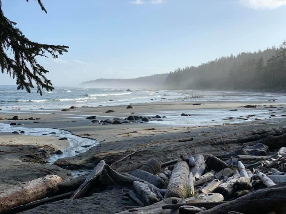 18 Pack Bulk Sampler - Garlic & Pepper, Maple, Original - Candied ...