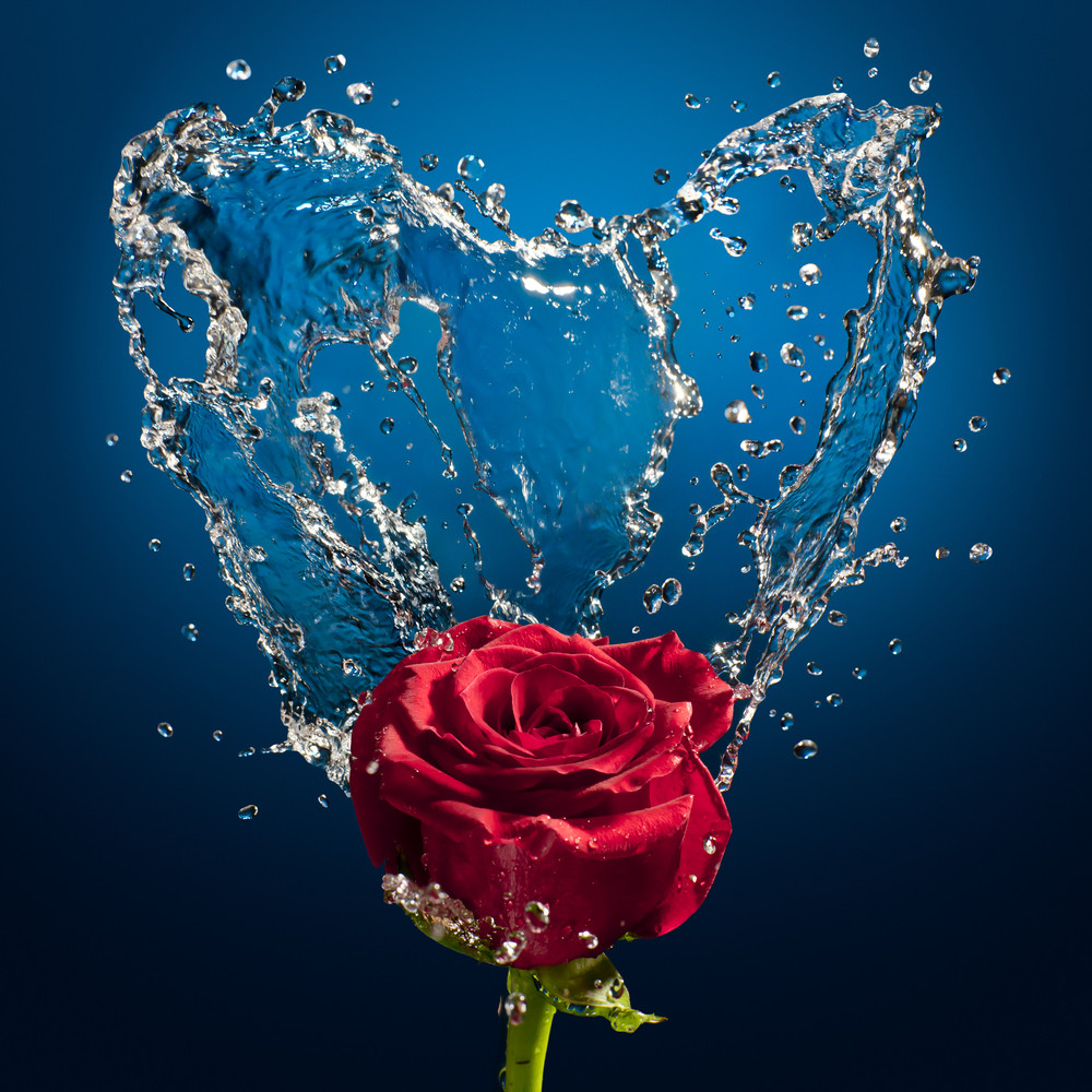 Rose Hydrosol