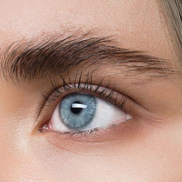 Brow trends from the runway and red carpet - Ellisons