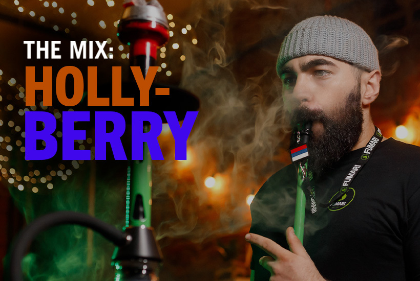 Hookah Master Mix Series: Holly-Berry - Fumari Inc