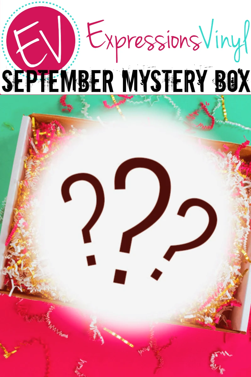 September Mystery Box-What will you make with yours? - Expressions Vinyl