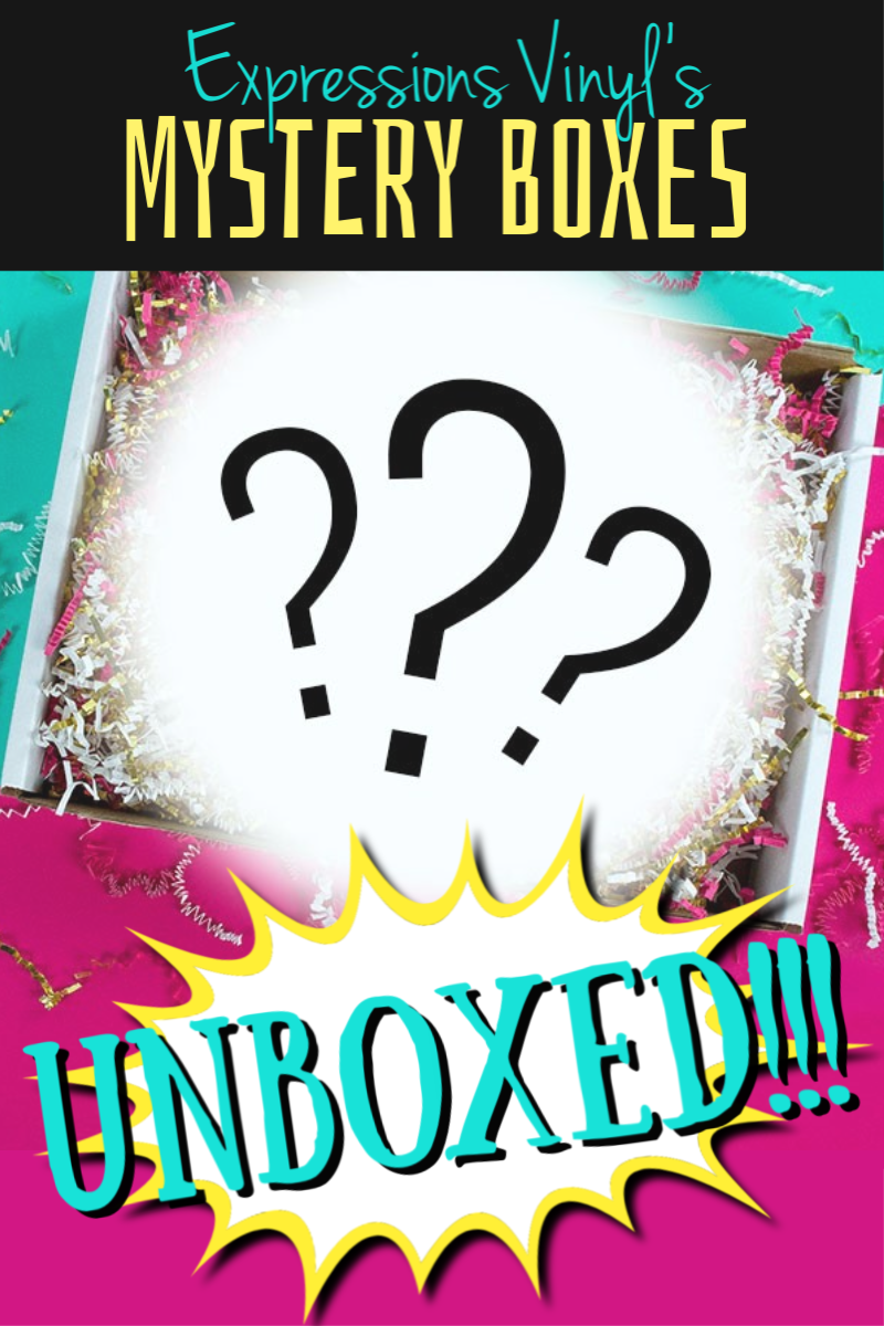 ExpressionsVinyl Mystery Box Unboxed - Expressions Vinyl