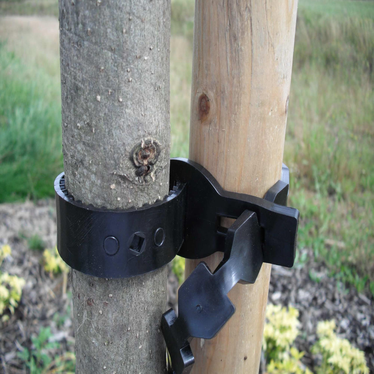 Supersoft Tree Support Rubber Tree Ties Ties Gardener Supplies