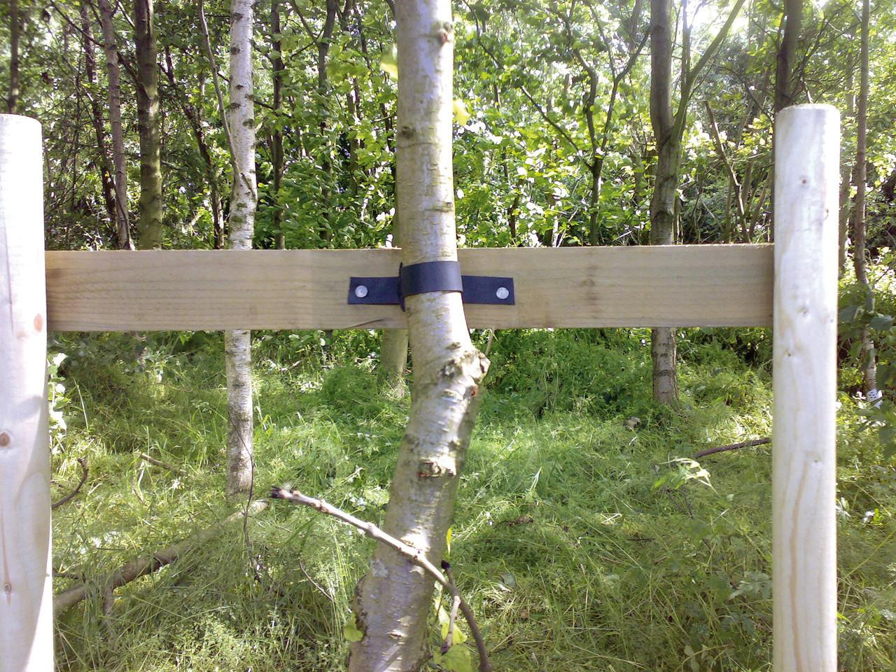 Treated Cross Bar Tree Supports | Gardener Supplies