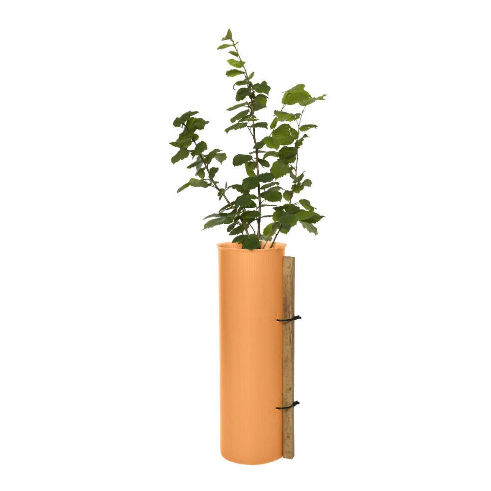 60cm Defender Shrub Shelter Guard | Gardener Supplies