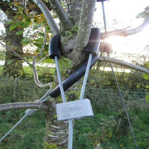 Tree Anchor Support Guying System - Tree Anchors | Gardener Supplies